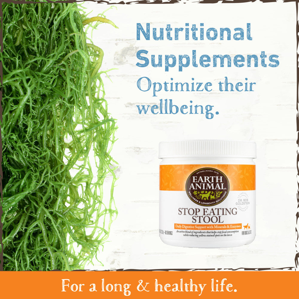 Stop Eating Stool Nutritional Supplement – Houston Raw Pet Food